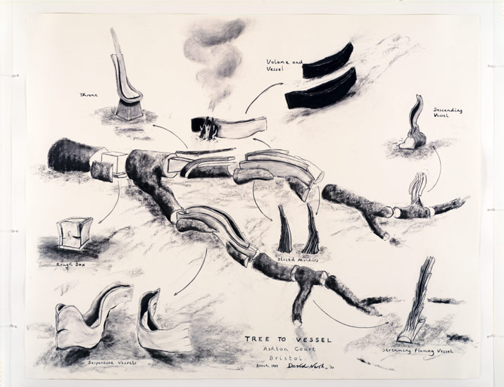 David Nash: Drawings